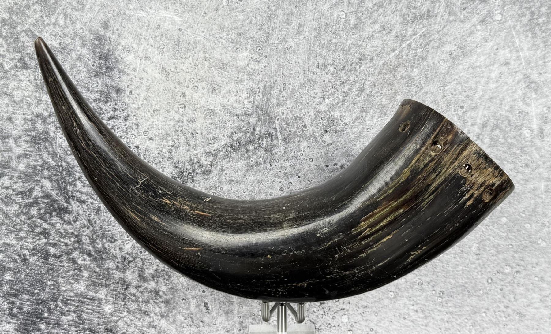 Black Powder Rendezvous Buffalo Powder Horn
