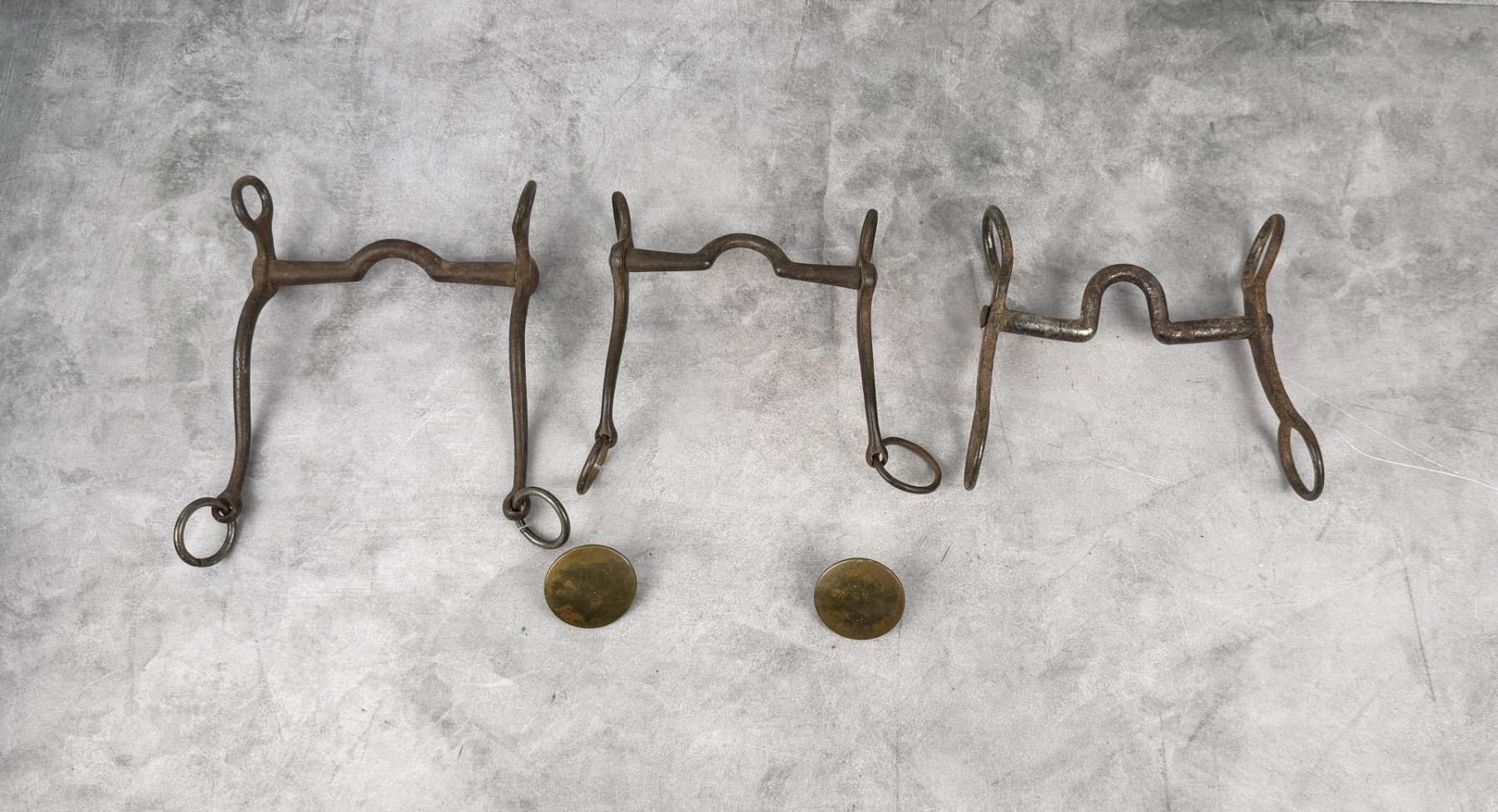 Collection of Cowboy Horse Bits