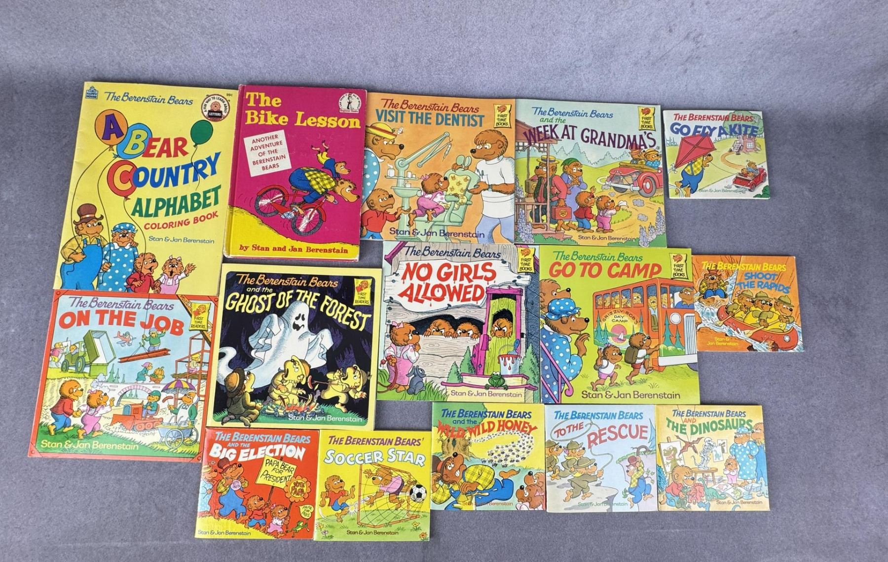 Group Of Berenstain Bears Books