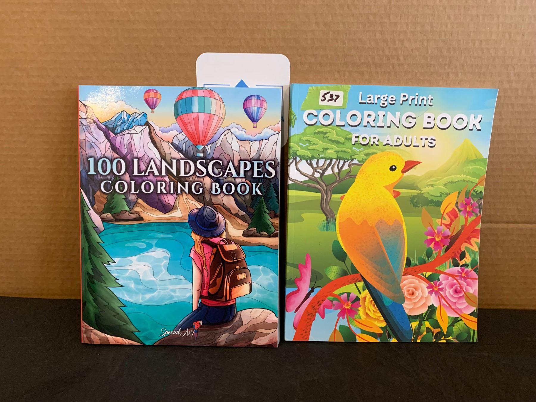 Large Print Coloring Book &100 Landscapes Coloring Book 2 Pack