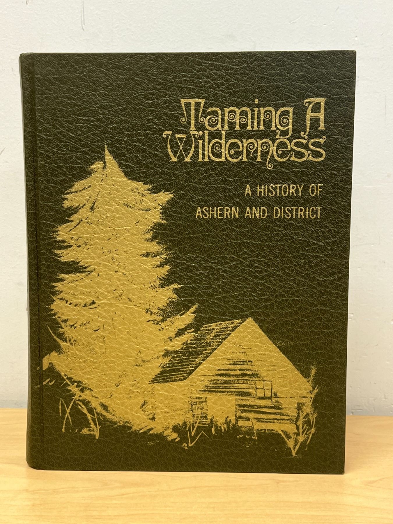 Ashern & District History Book - Taming A Wilderness 1976 see all photos