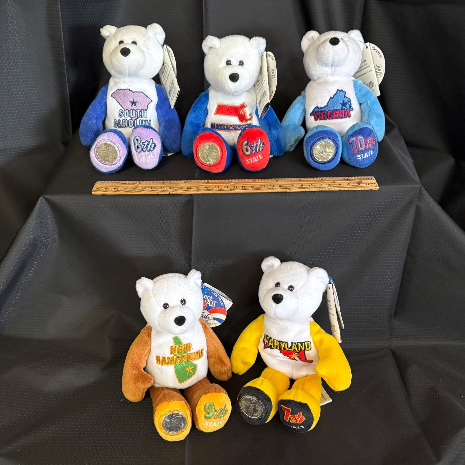 50 STATES OF AMERICA COIN BEARS - LOT OF 5