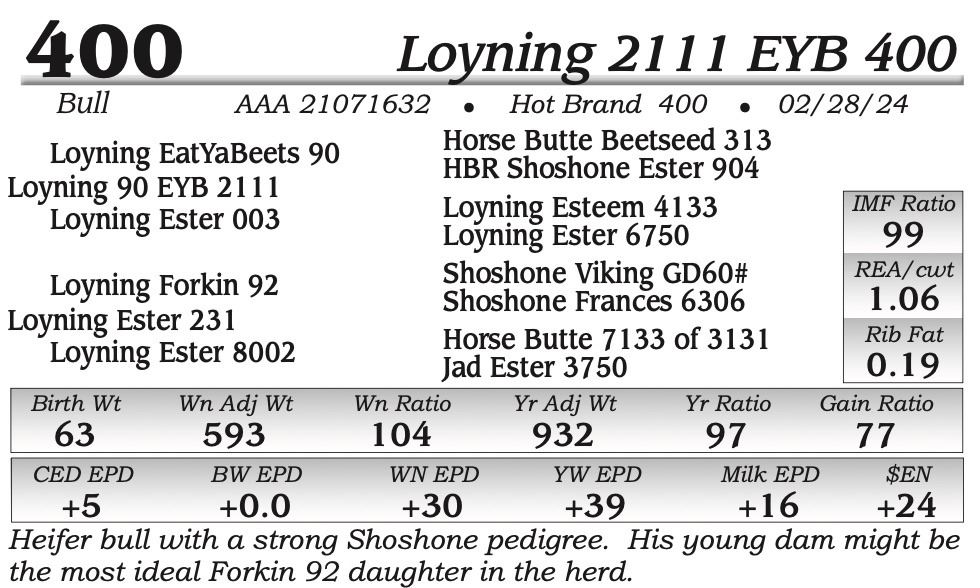Loyning 2111 EYB 400