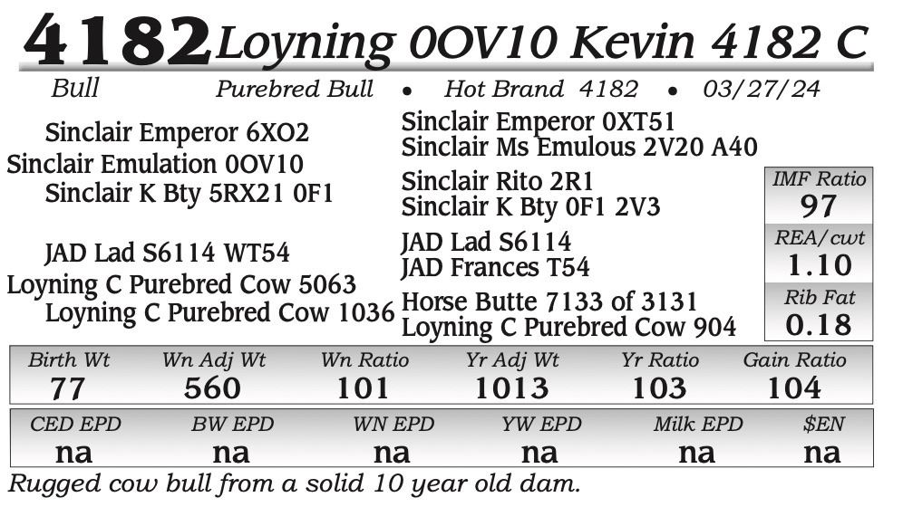 Loyning 0OV10 Kevin 4182 C