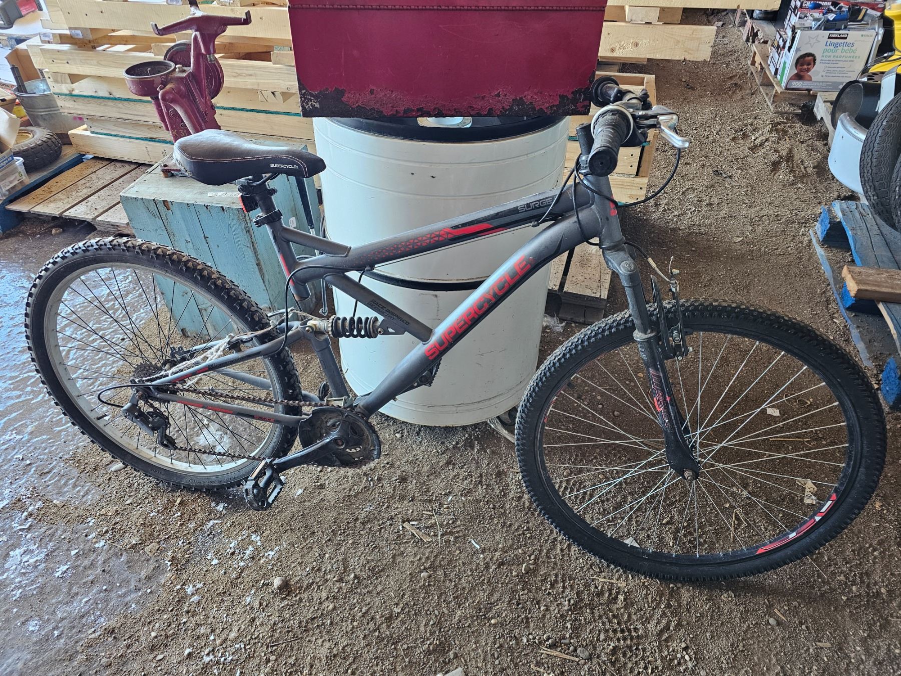 Adult SuperCycle Surge Mountain Bike - Schmalz Auctions
