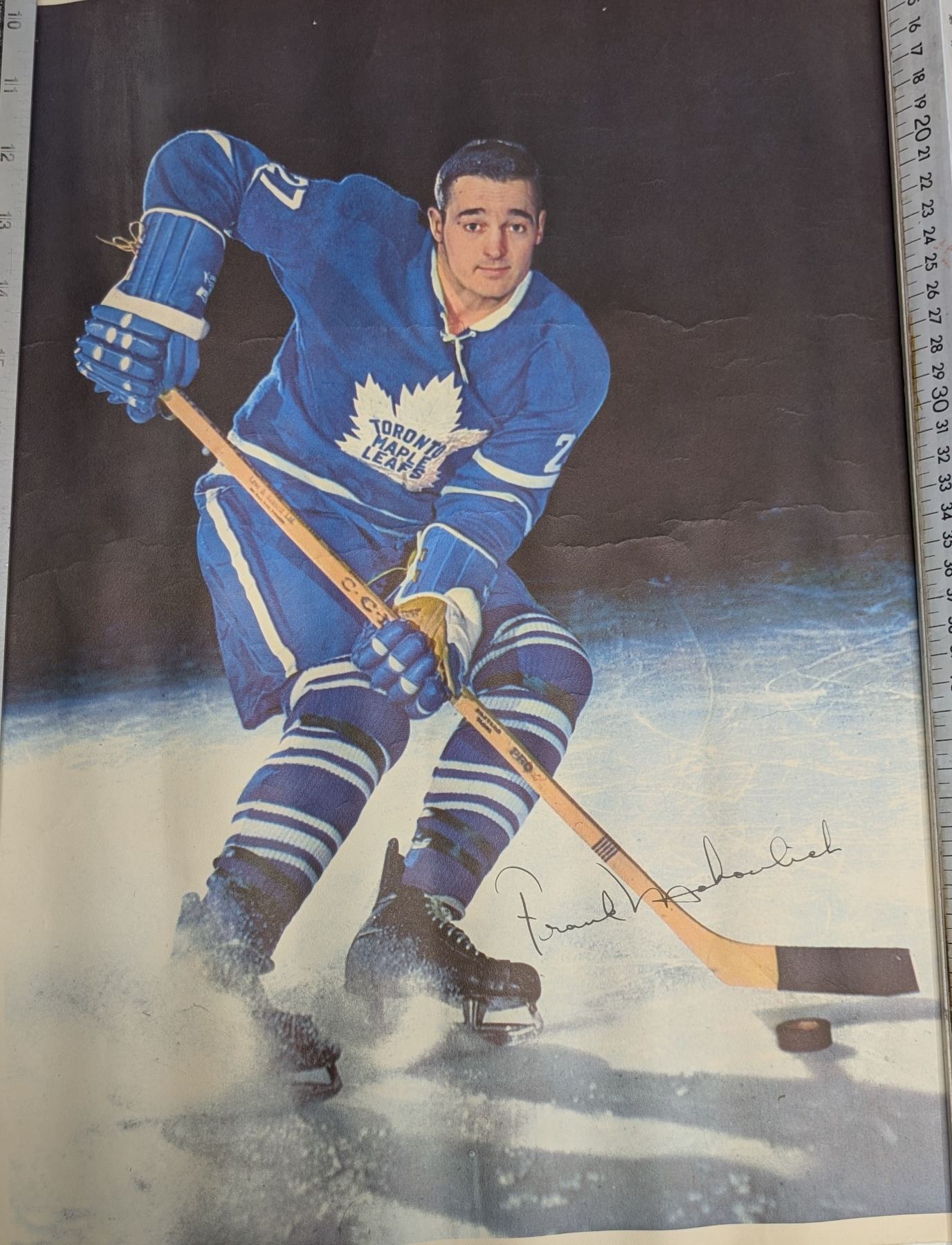 14"x18" Frank Machoulich 1960s Libby's Toronto Maple Leaf Poster ...