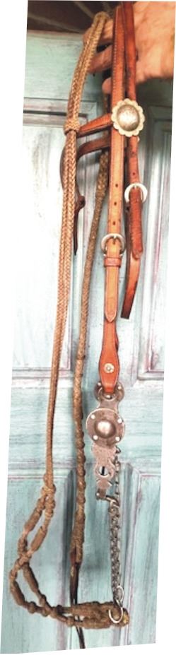 bridle with silver overlaid Wyoming pattern half breed bit