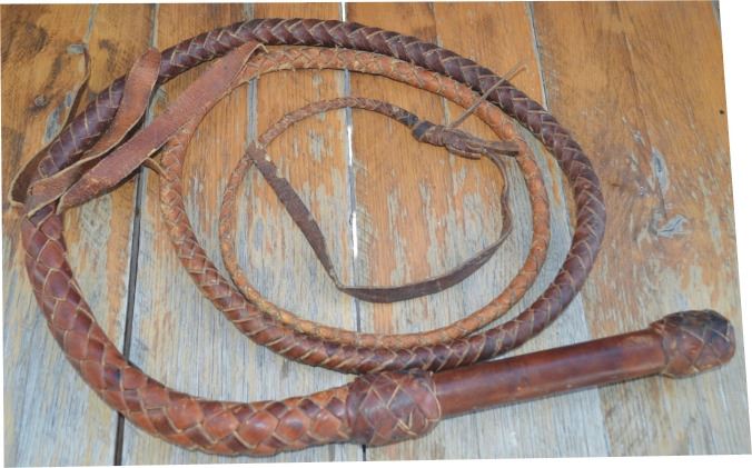 braided bull whip