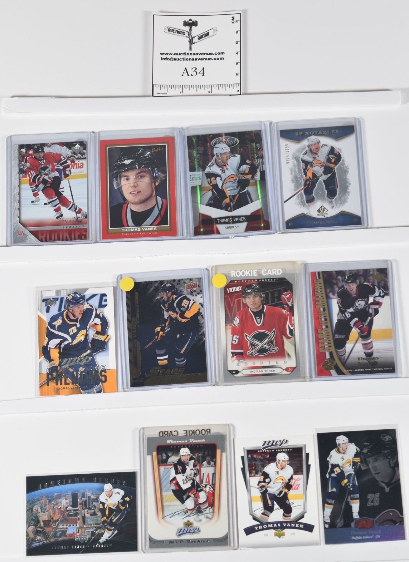 Thomas Vanek Lot 2 incl RCs