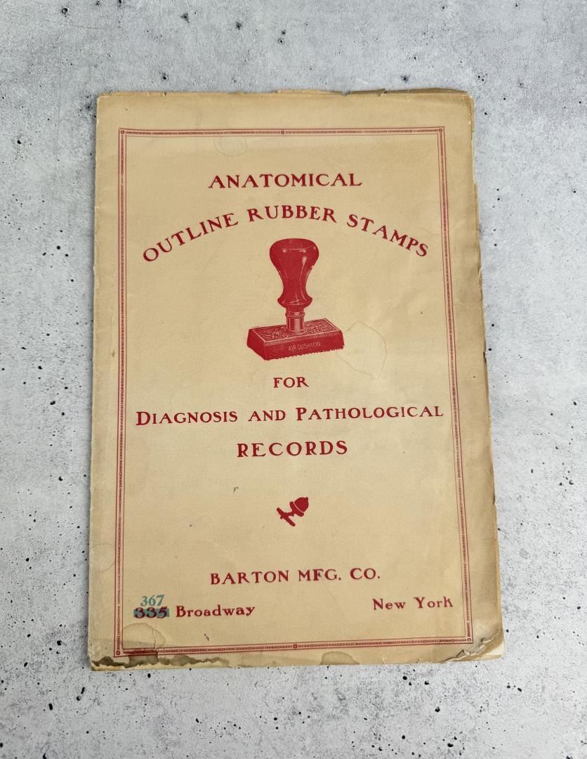 Anatomical Outline Rubber Stamps Catalog