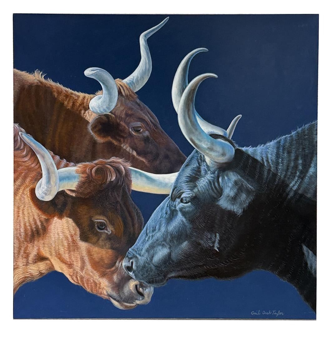 Gail Gash Taylor Longhorn Steers Oil Painting