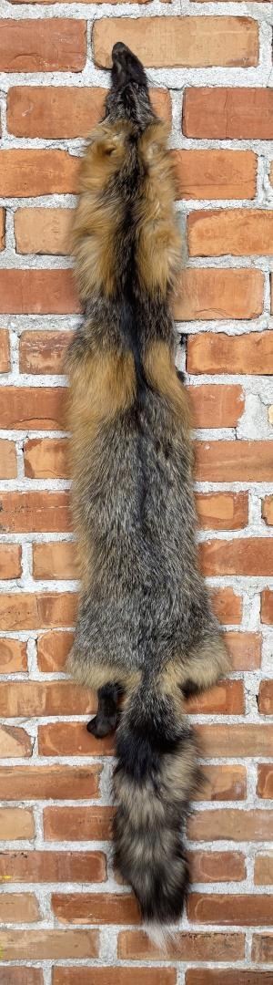 Beautiful Ranch Cross Fox Fur Pelt Taxidermy