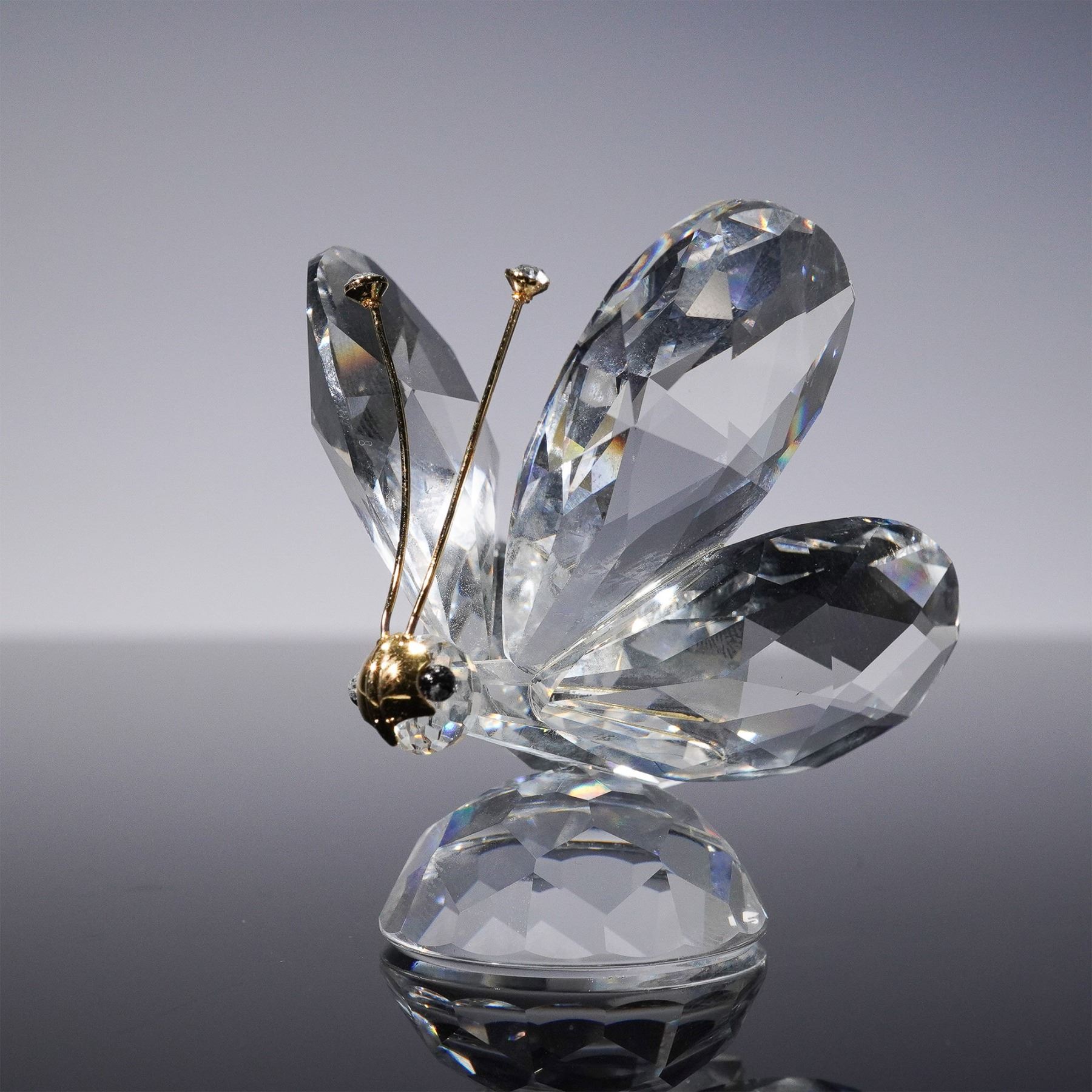 Swarovski Crystal Butterfly Large V3 Figurine