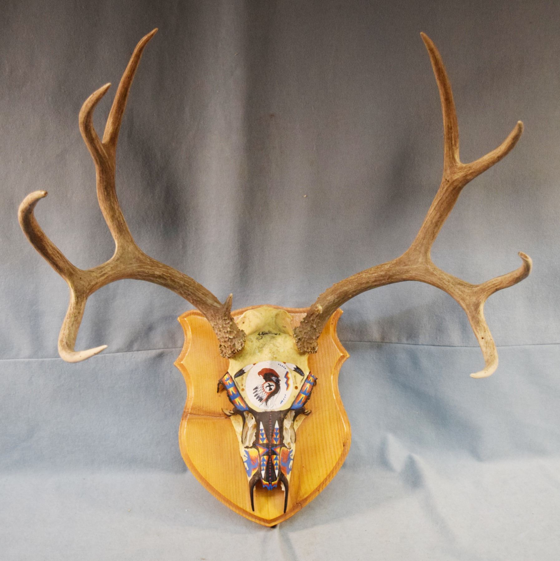 Shaw, Liam, hand painted 4x4 mule deer mount, Indian design, 1982 ...