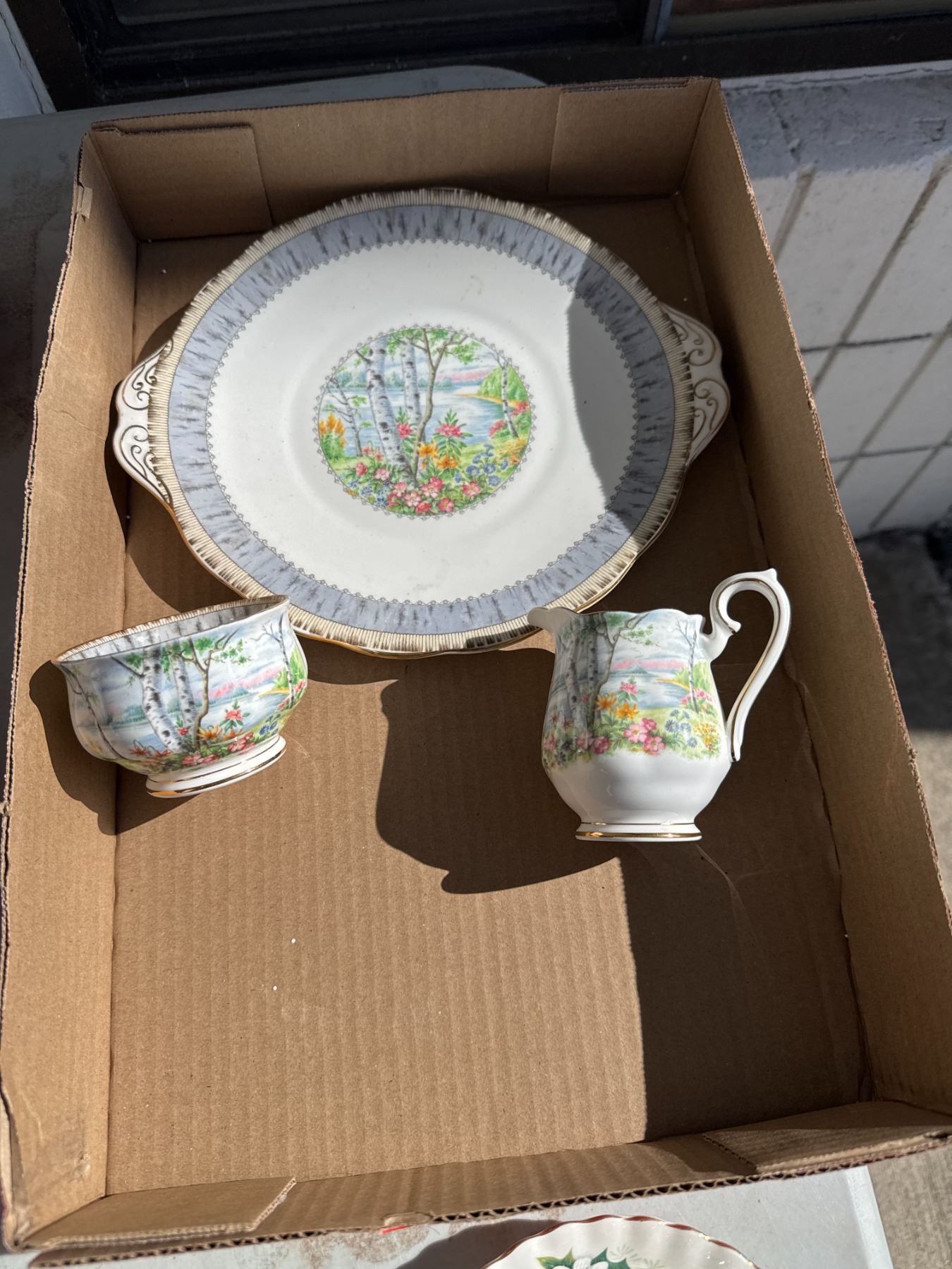 Royal Albert Silver Birch