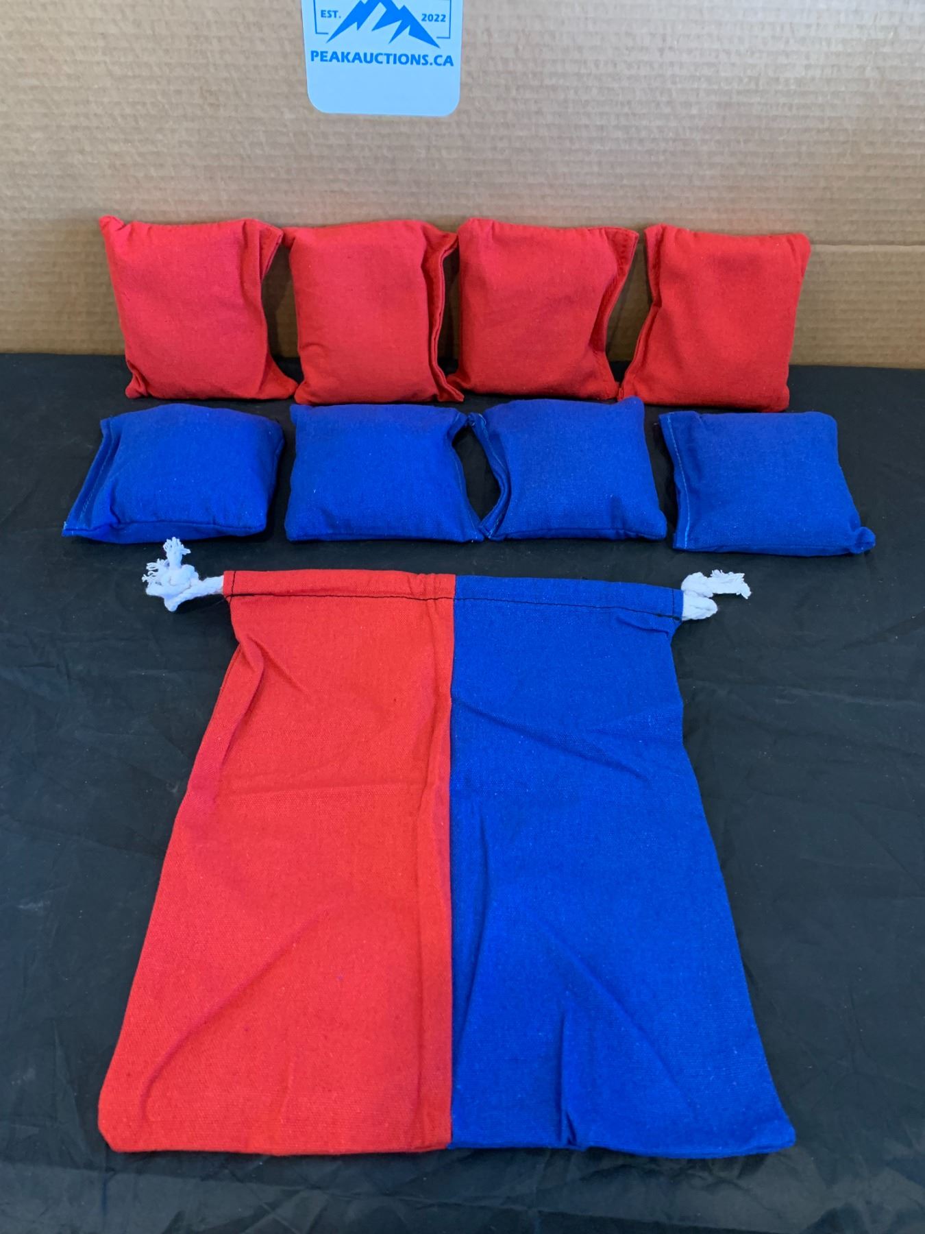 All Weather Cornhole Bean Bag Toss Games Includes Tote Bag