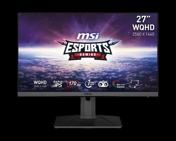 Msi G272Qpf Esports Gaming Monitor 170Hz Refresh Rate Panel Resolution ...