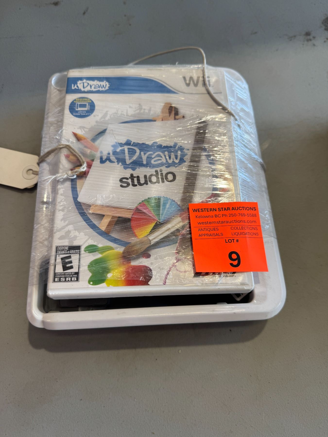 Wii you draw studio items