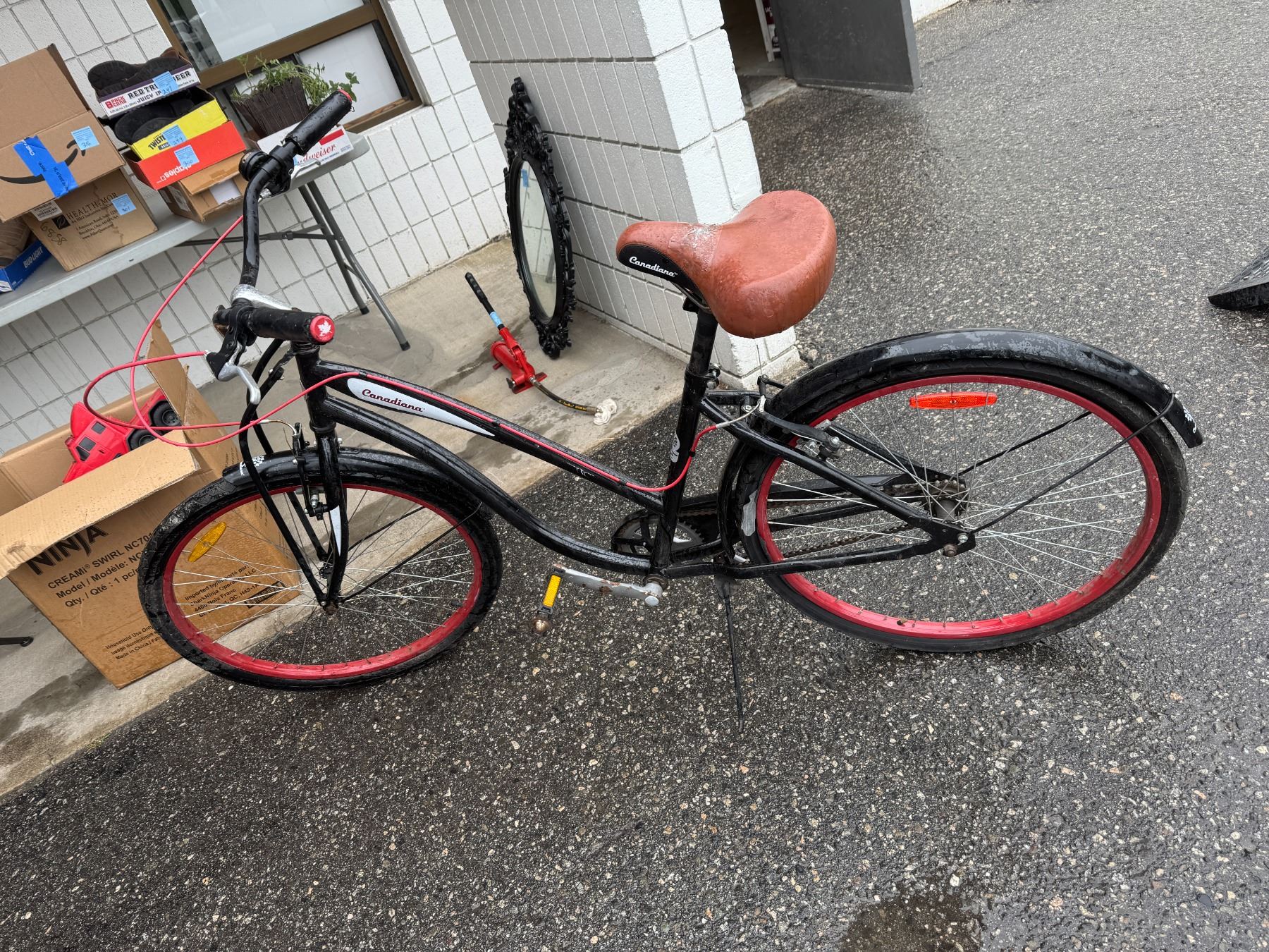 Canadiana bike needs tlc