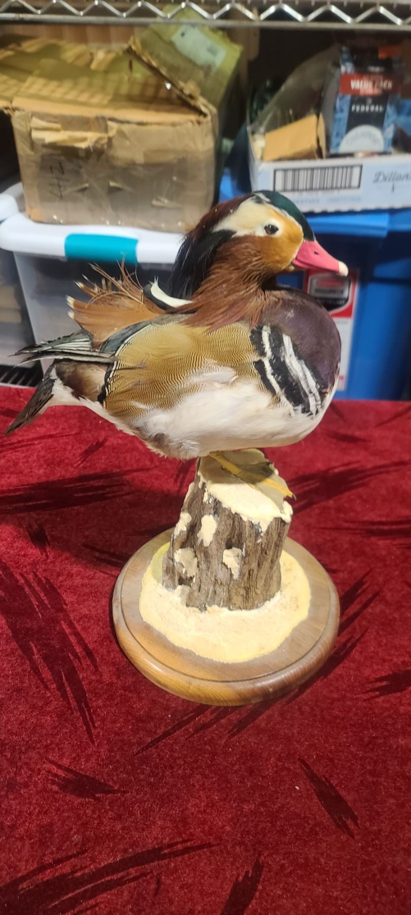 MANDERIN DUCK CARVING