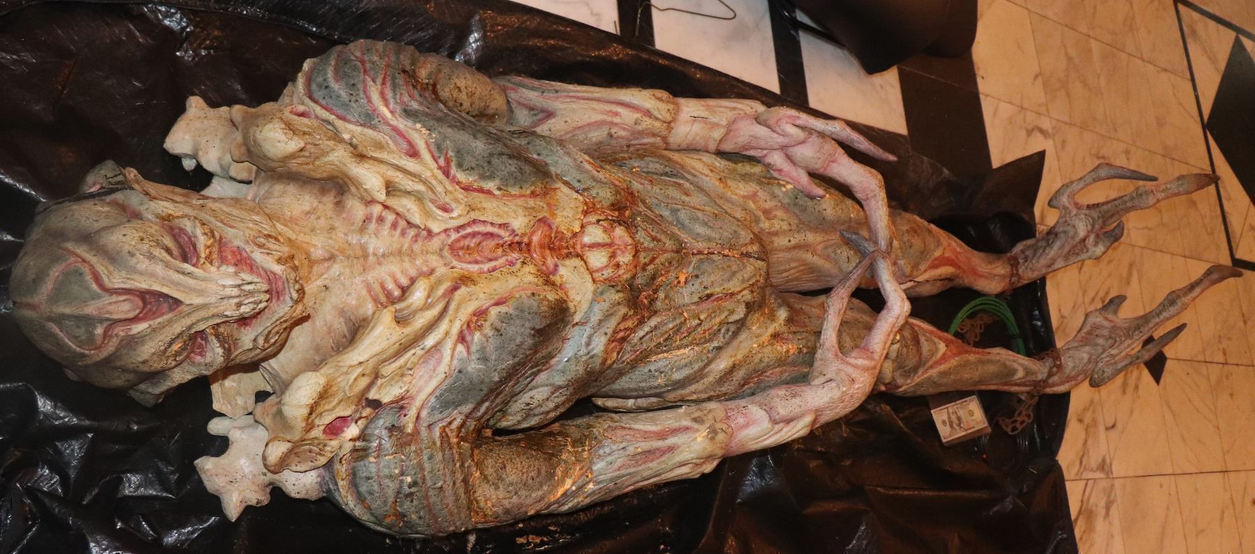 TRANSFORMERS 4 AGE OF EXTINCTION ALIEN CAPTIVE PUPPET IN LOCKDOWN'S ...