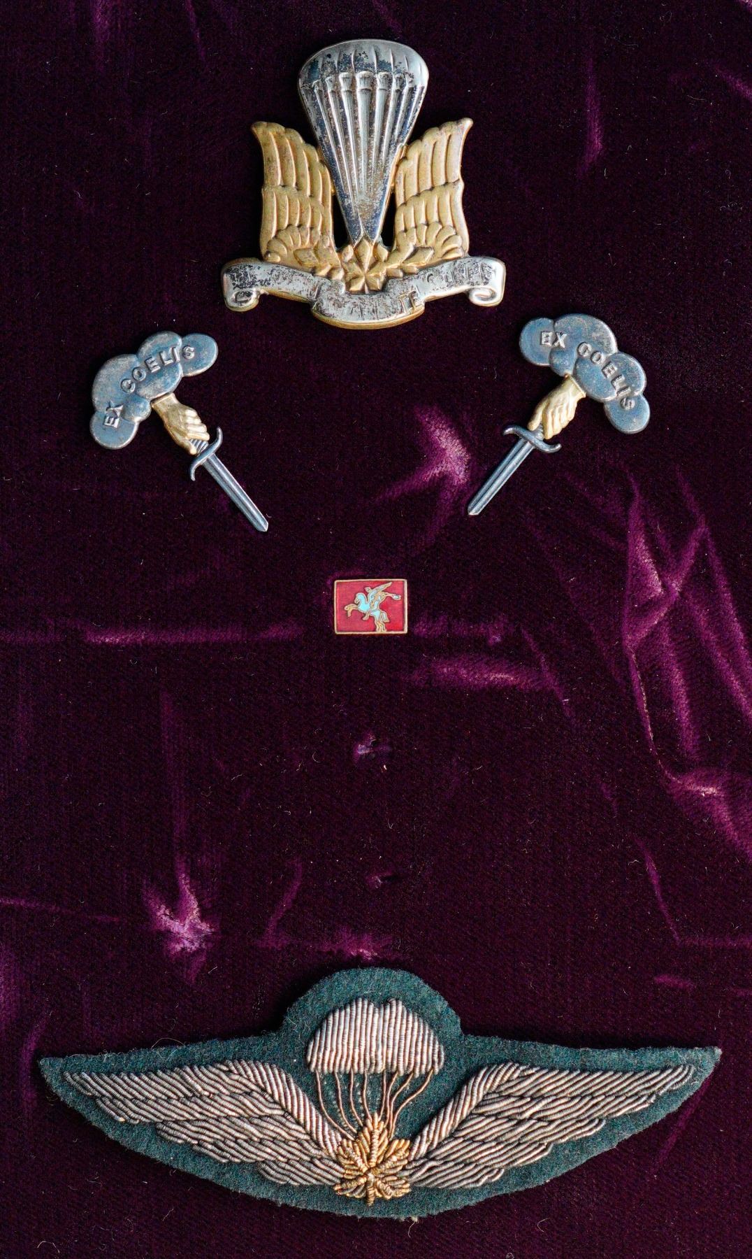 Militaria Insignia 1920-50; Canadian Parachute Paratrooper Cap (Metal ...