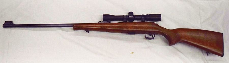 CZ 452-2E ZKM, .22LR, 24" bbl, Bushnell scope, s# 389191