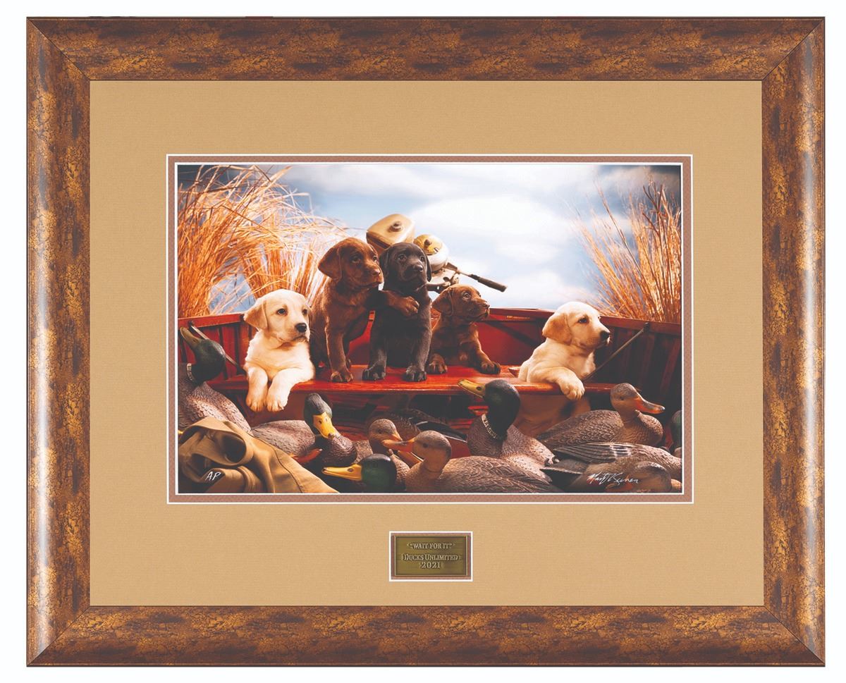 "Wait for It" Puppy Photo by Marty Keeven