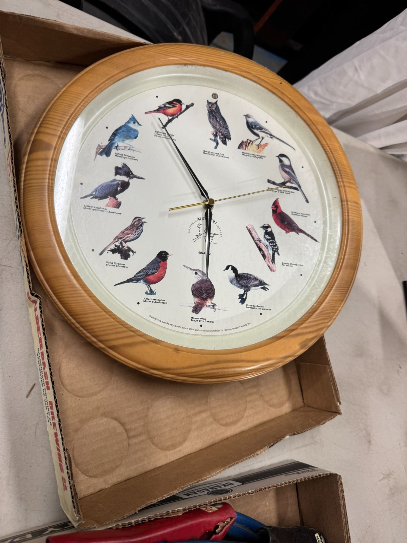 Bird clock