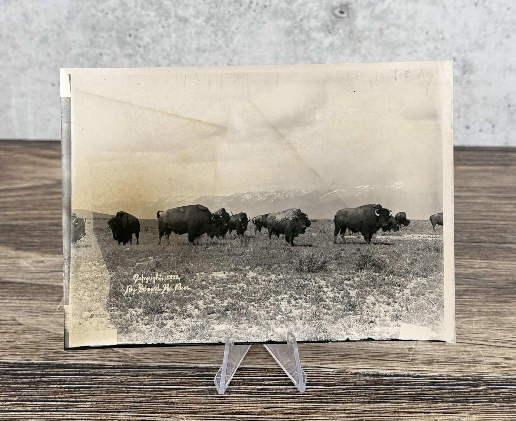 Edward Boos Flathead Indian Montana Photo