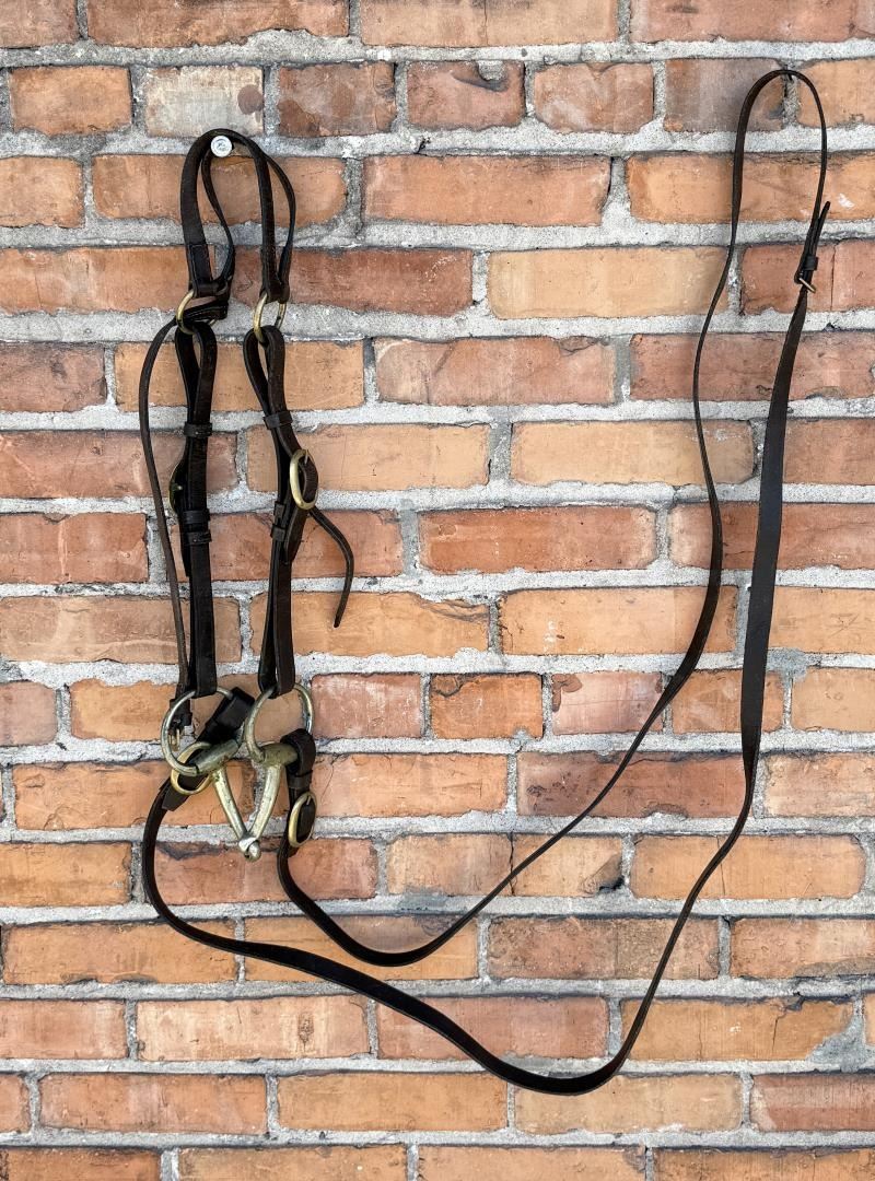 Cowboy Headstall and Horse Bit