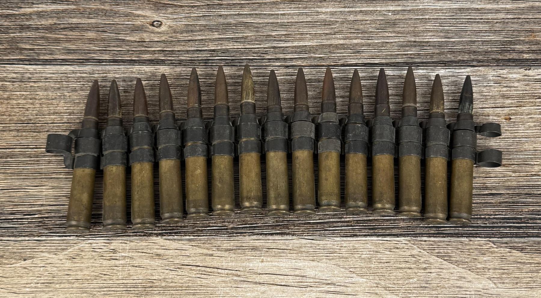 .50 BMG Dummy Rounds