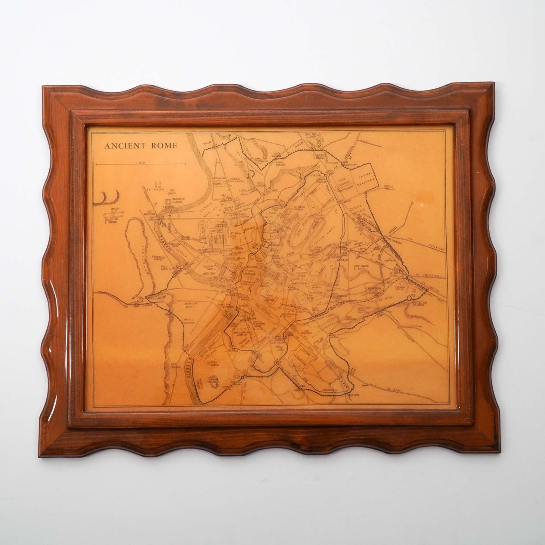 Resin-Encased Vintage Map of Ancient Rome in Wooden Frame