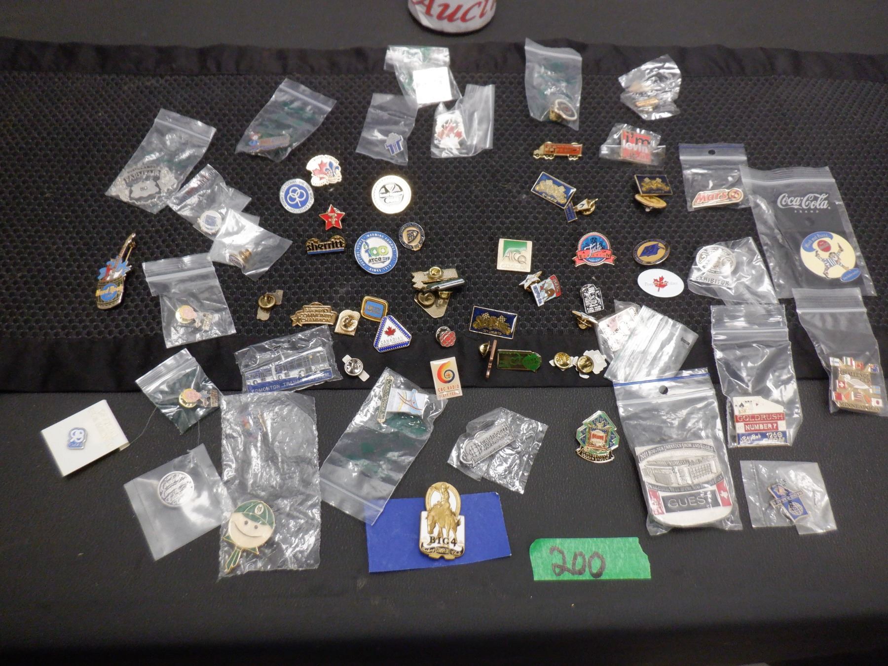 Large collector pin collection