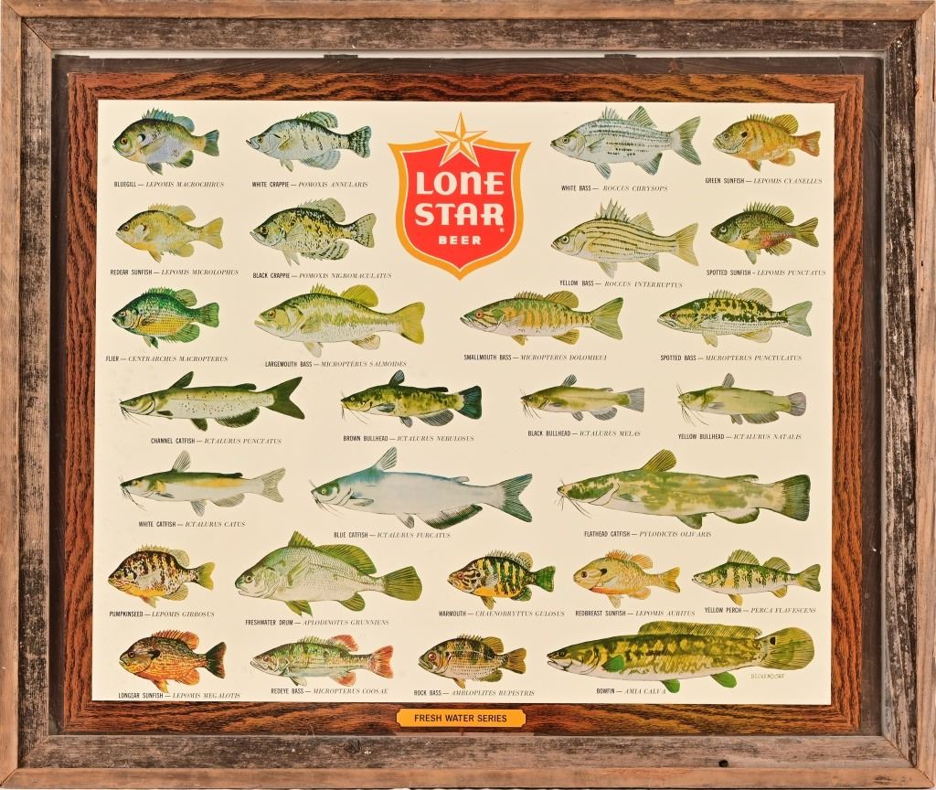Lone Star Beer Freshwater Fish Cardboard Sign 1973