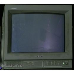 Sony Trinitron Monitor.