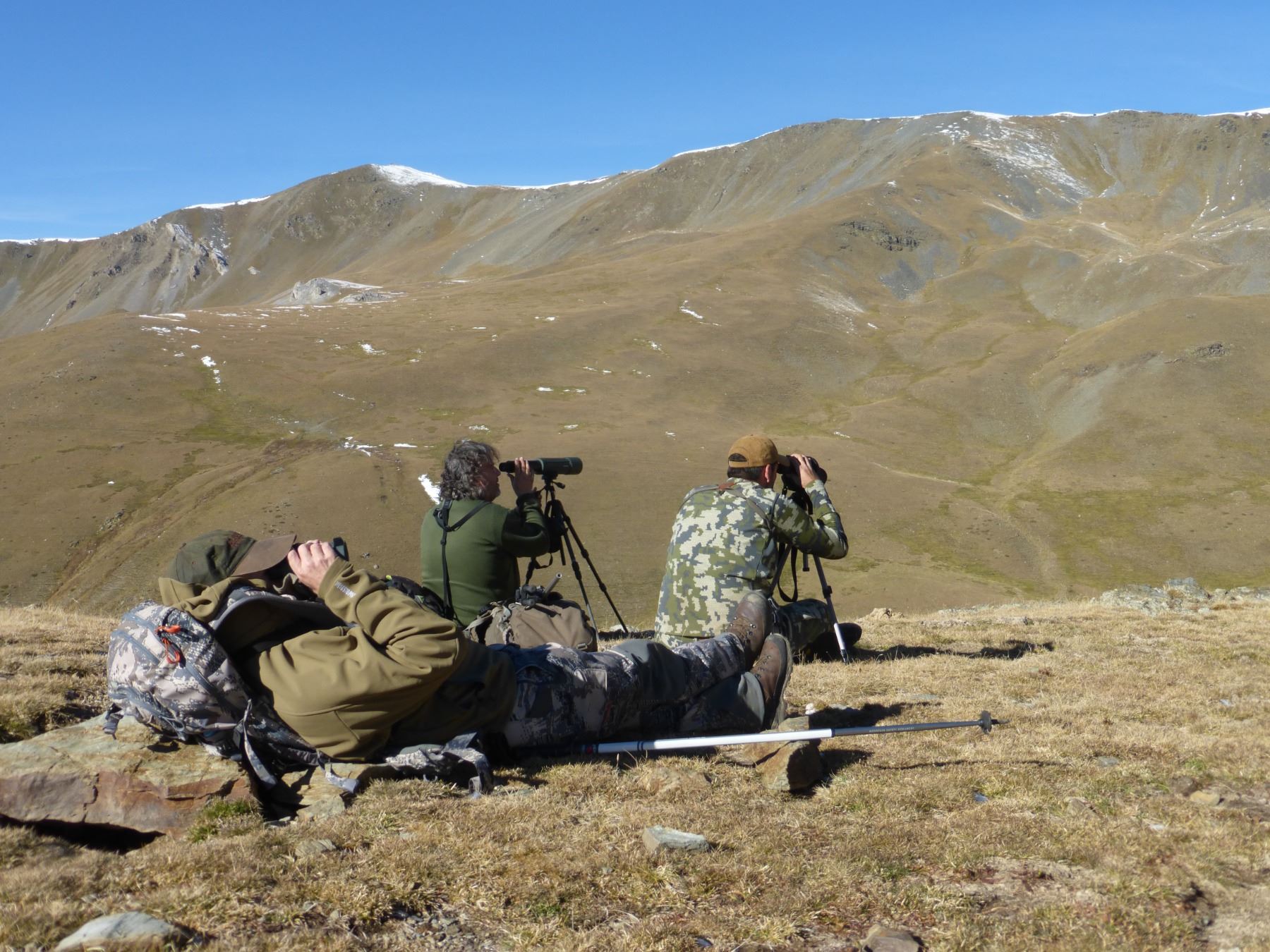 TROPHY HUNTING SPAIN: European Roe Deer Hunt for Two Couples in ...