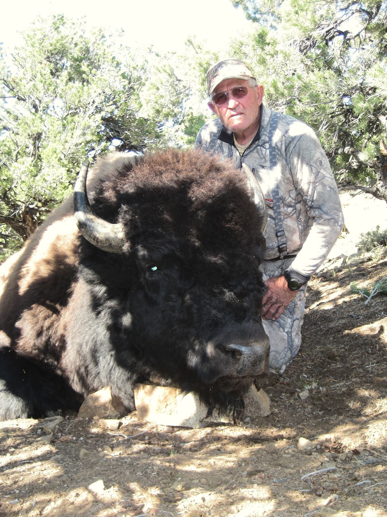 2026 Utah Book Cliffs, Bitter Creek Hunter's Choice Bison Conservation ...