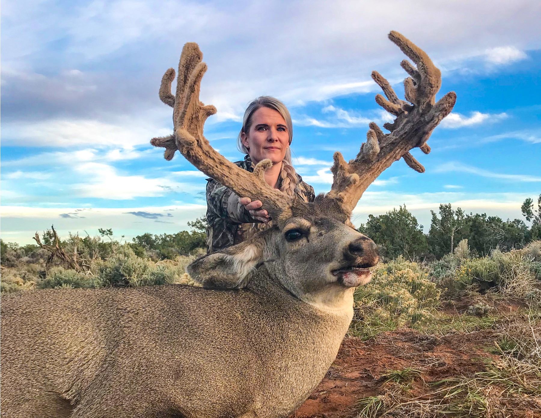 2026 Utah San Juan, Elk Ridge LE Buck Deer Conservation Permit, Multi ...