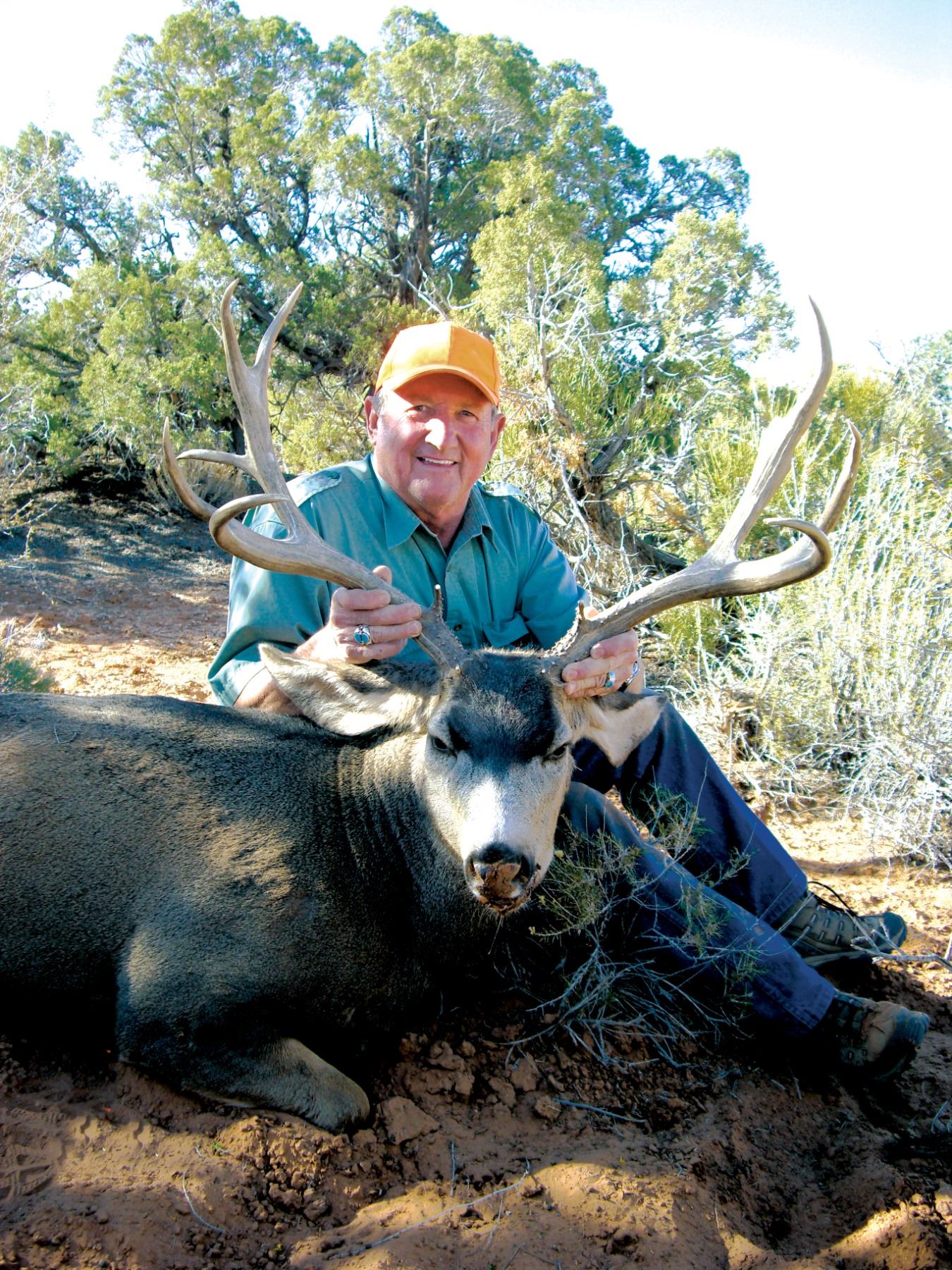 2026 Utah San Juan, Elk Ridge LE Buck Deer Conservation Permit, Multi ...