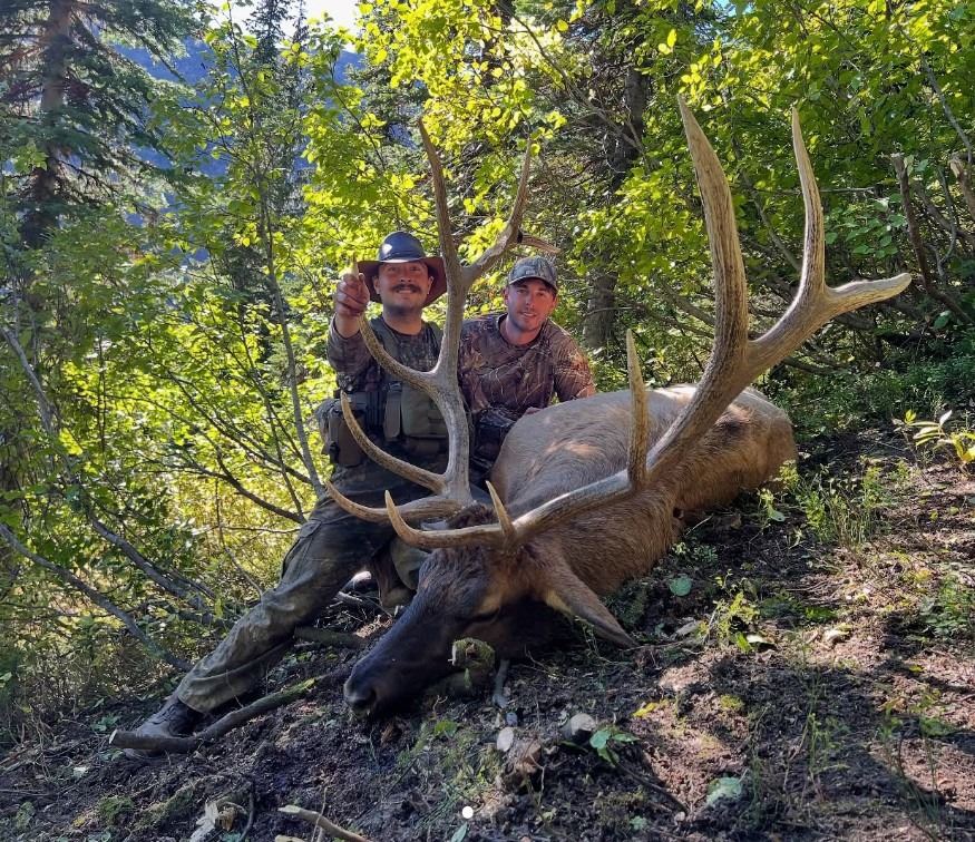 5-day Archery Elk Rut Hunt for 2 in British Columbia