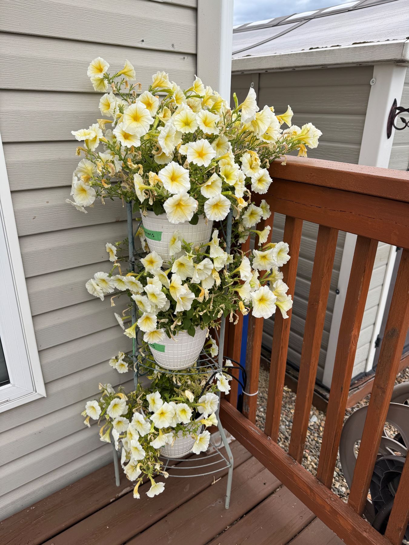Flowers on Stand