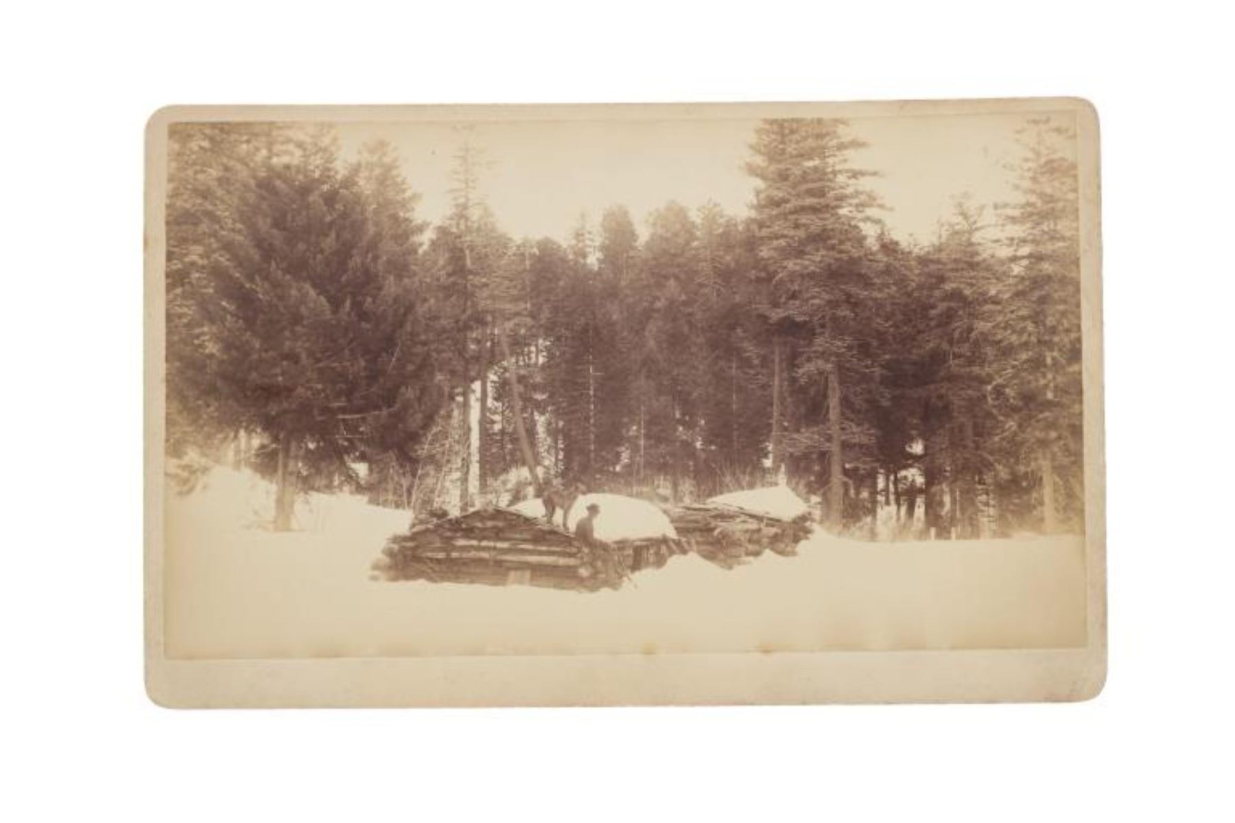 C.S. Fly Signal Station in the Graham Mountains