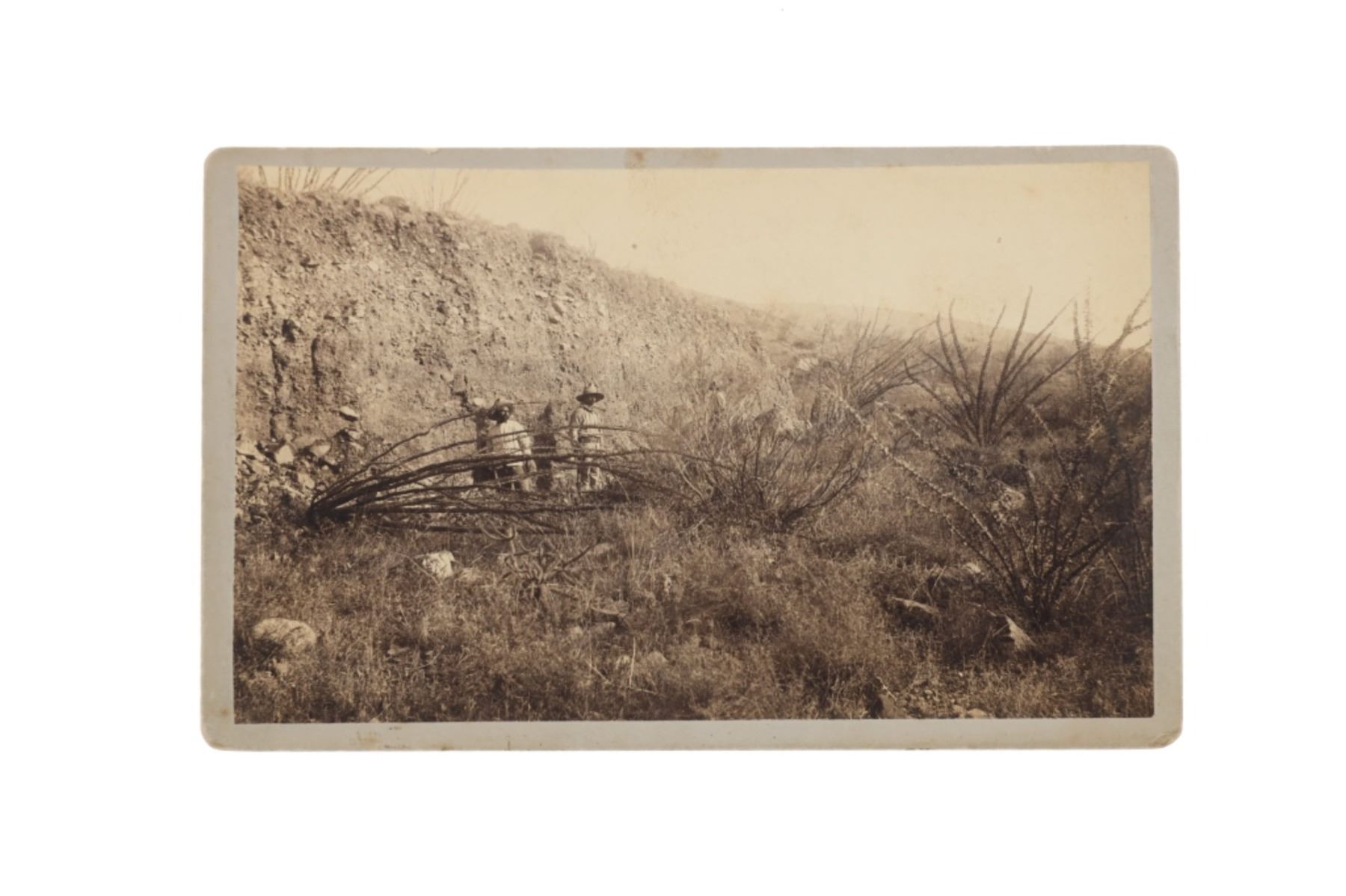 Rare C. S. Fly Boudoir Card Sonora Earthquake 1887