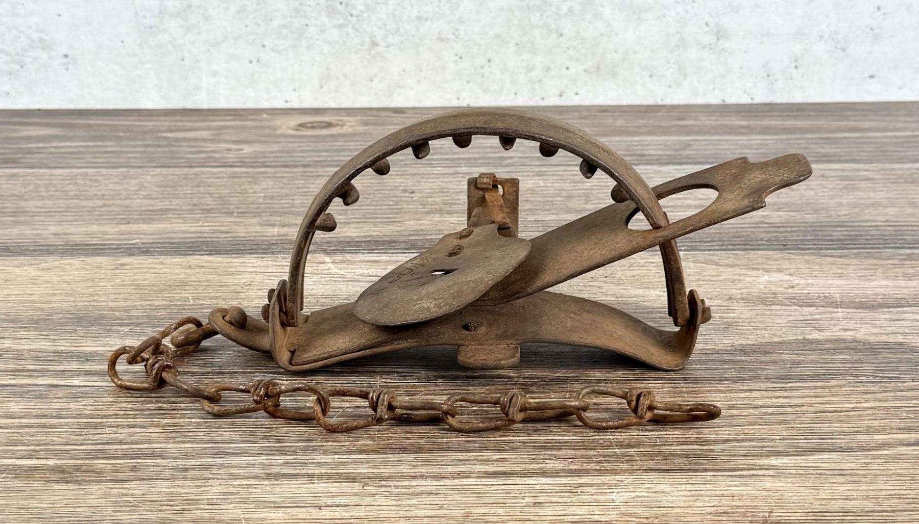 Oneida Victor 14 Jump Coyote Trap w/ Teeth