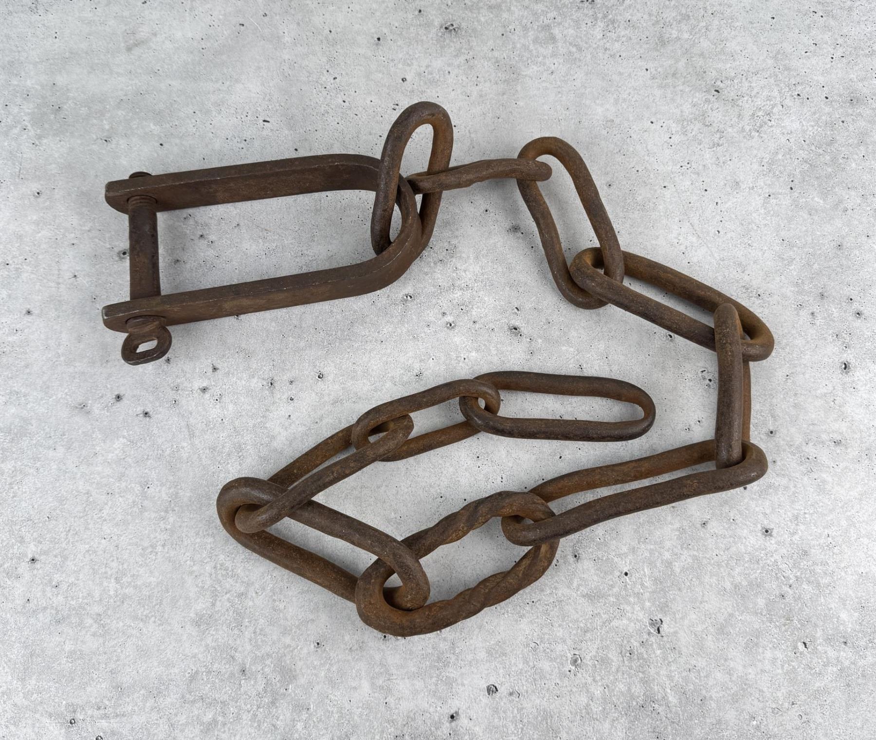 S. Newhouse Slick Pan No 6 Bear Trap Chain