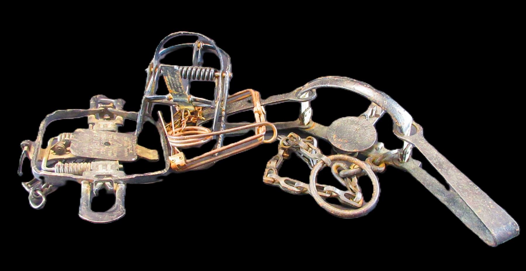 Oneida Newhouse #44 Double Long Springs Wolf Trap- Victor #3 Coil ...