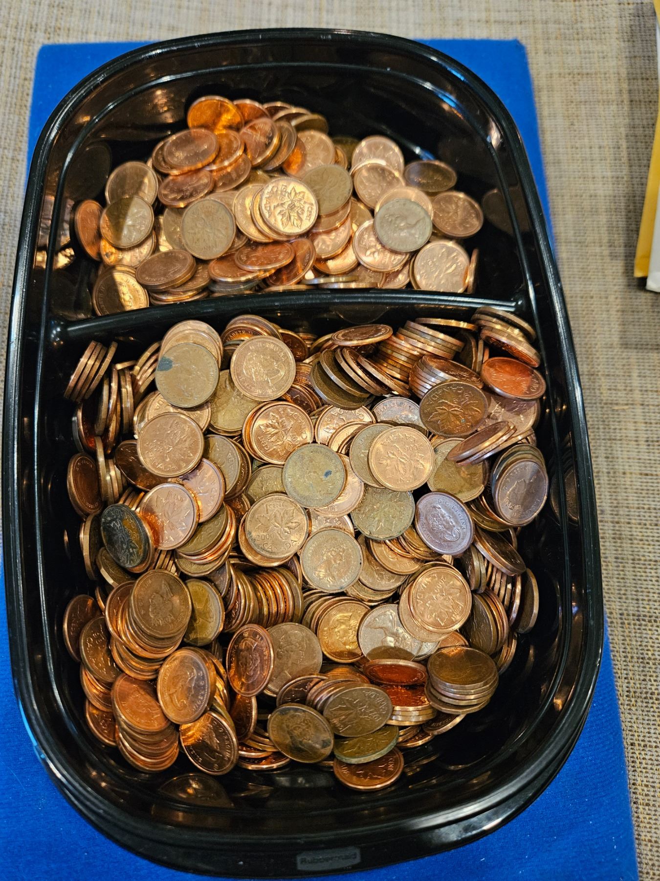 Container full of pennies