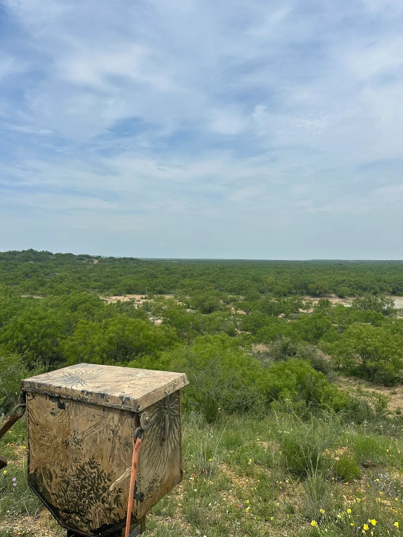 3 DAYS FULLY GUIDED TEXAS HOG HUNT FOR ONE HUNTER (MUST BRING FULLY ...
