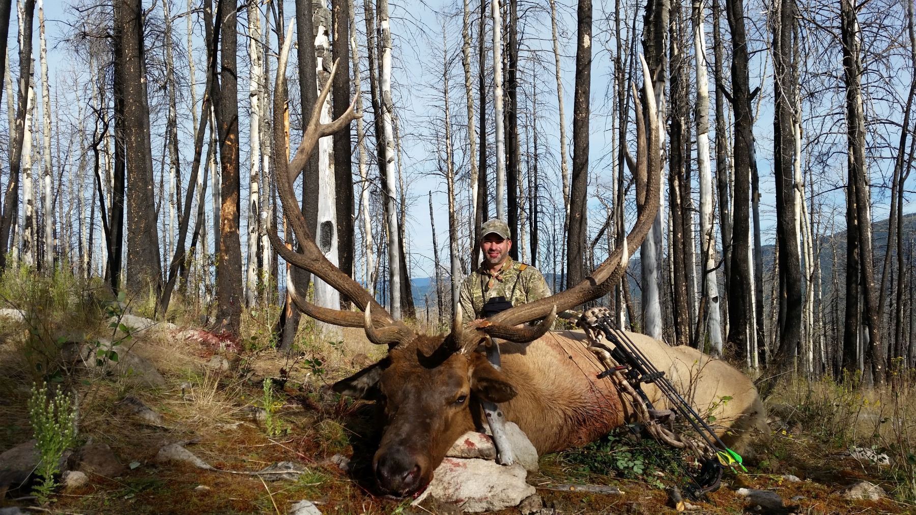 New Mexico: 5 Day Elk/Deer/Bear Combination Archery hunt for 2 hunters